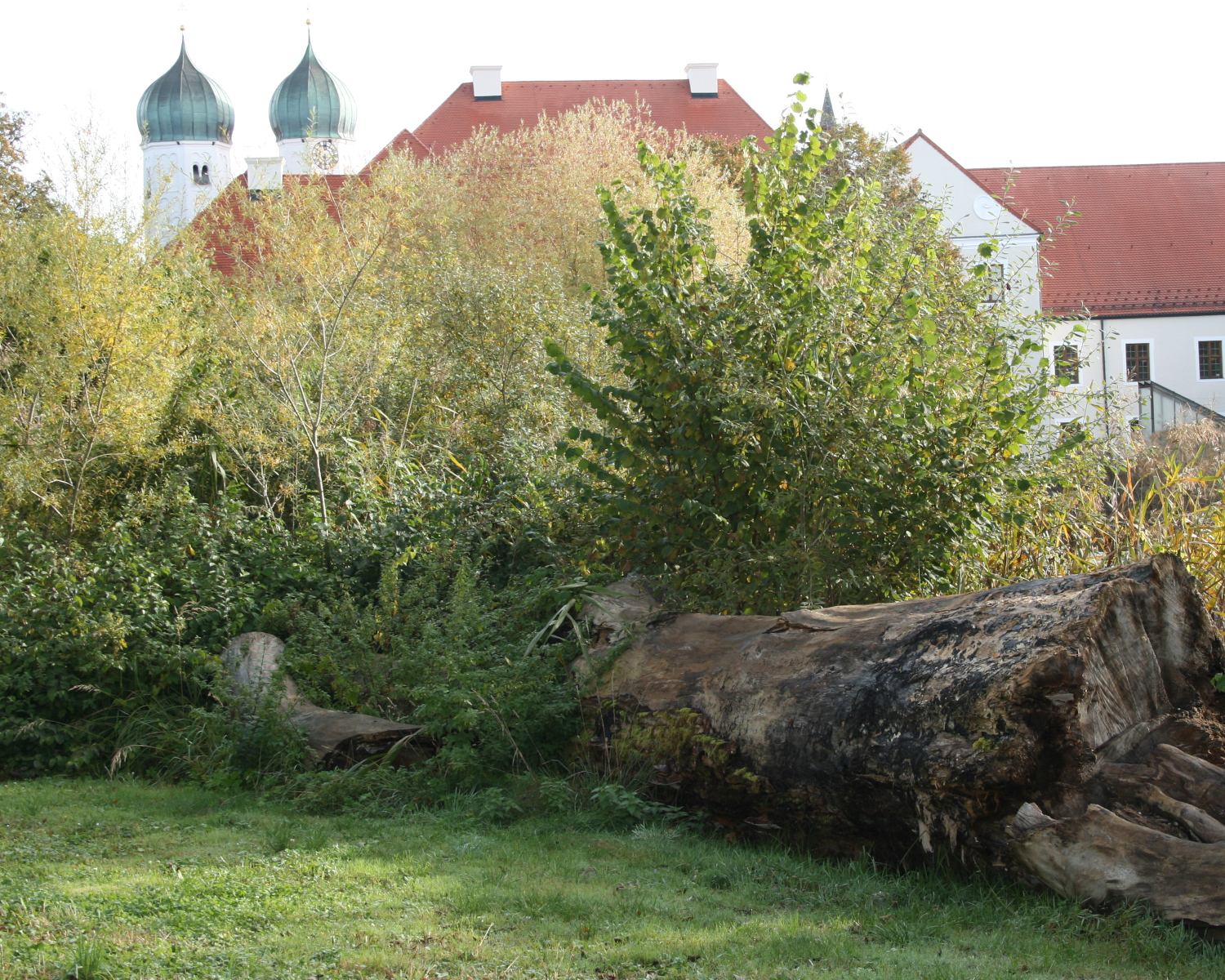 Kloster Seeon – geprüftes Tagungshotel im Klosterambiente am Wasser